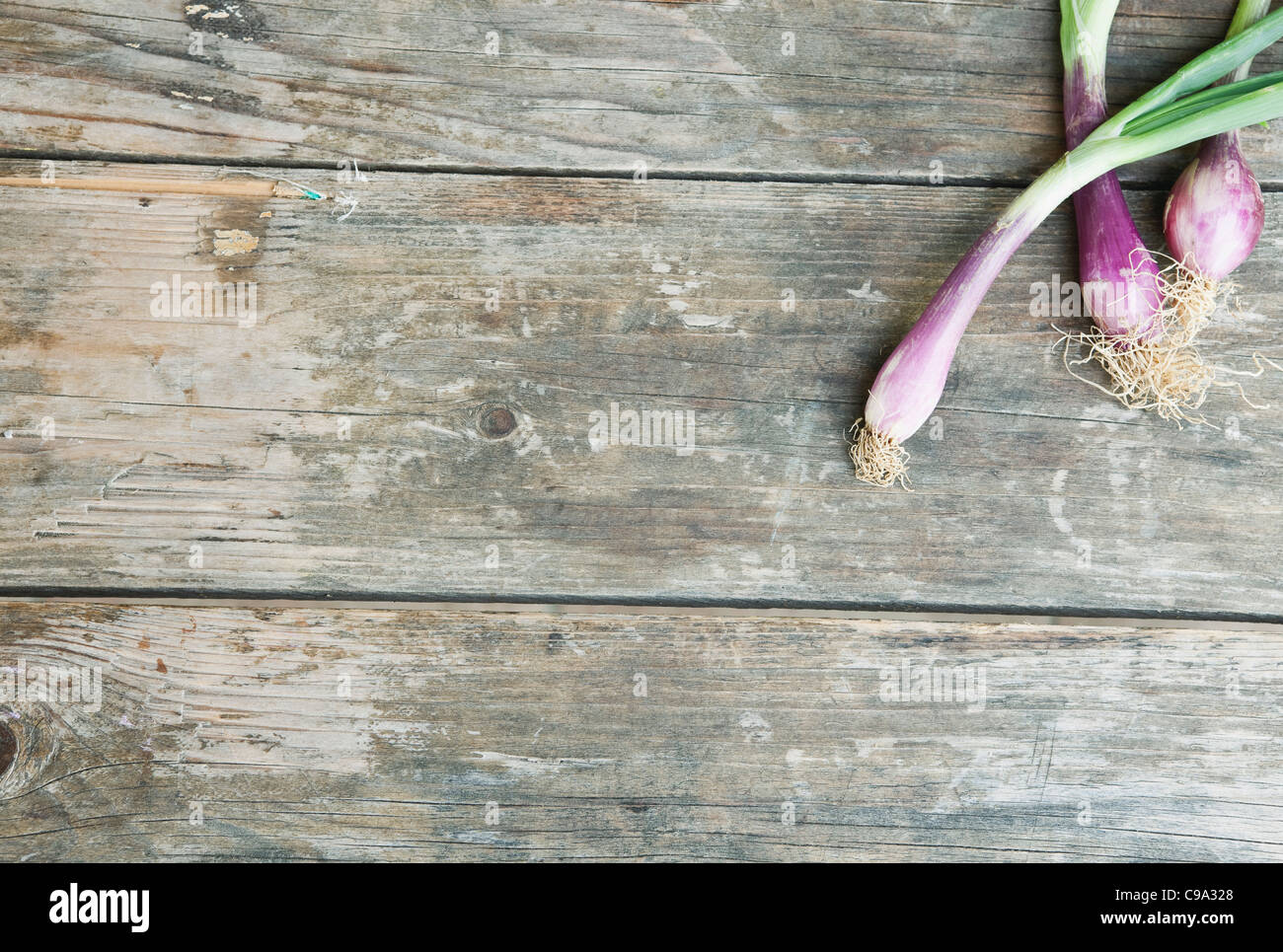 Spring onions hi-res stock photography and images - Alamy