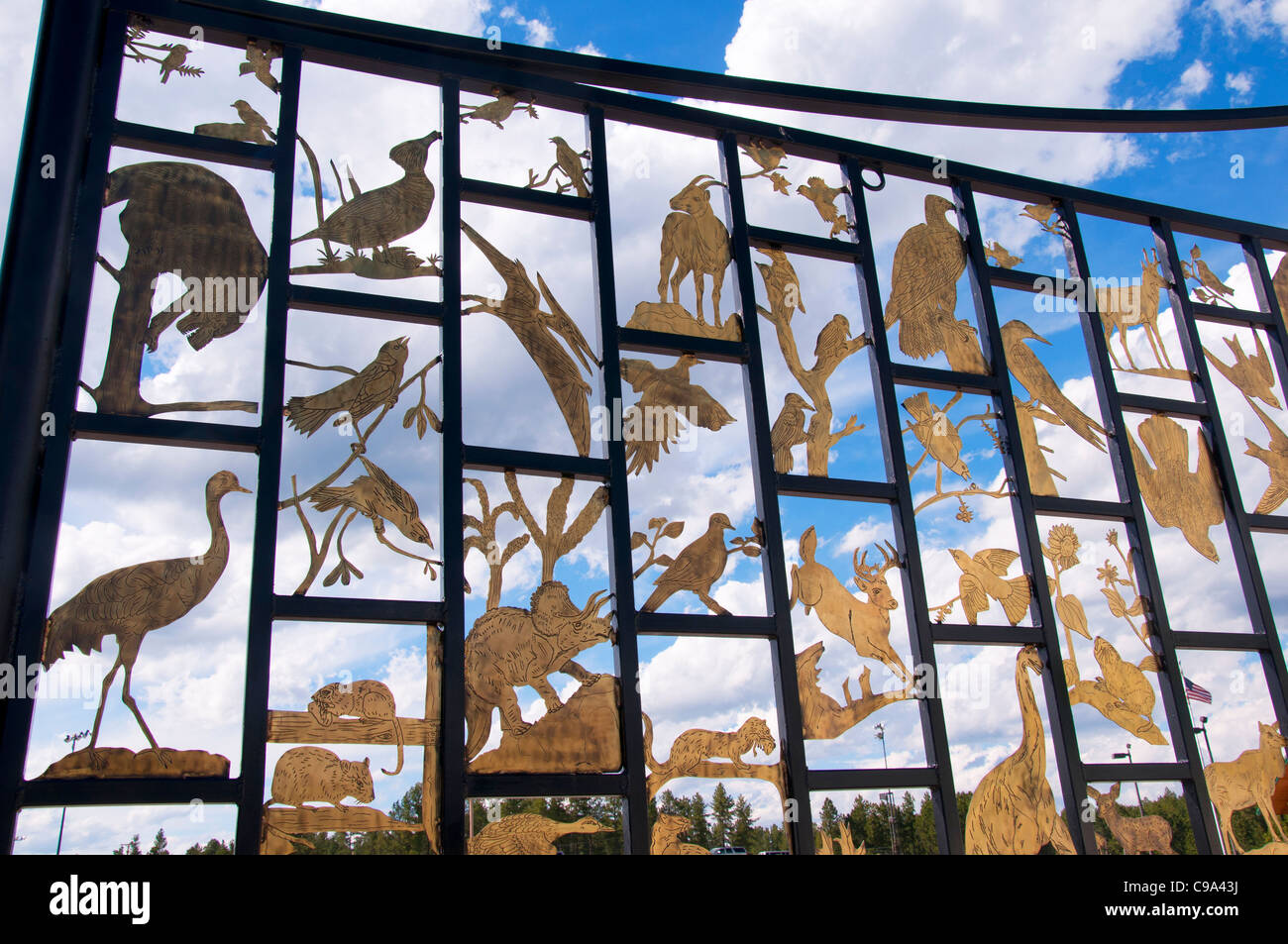 Nature gates in Black Hills of South Dakota USA Stock Photo - Alamy