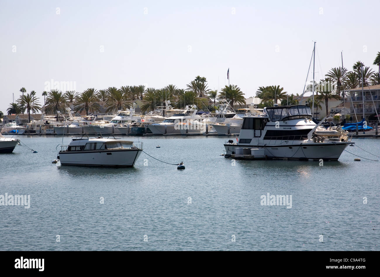Boats in Harbour at Lido Isle - Balboa island - Newport Beach - CA ...