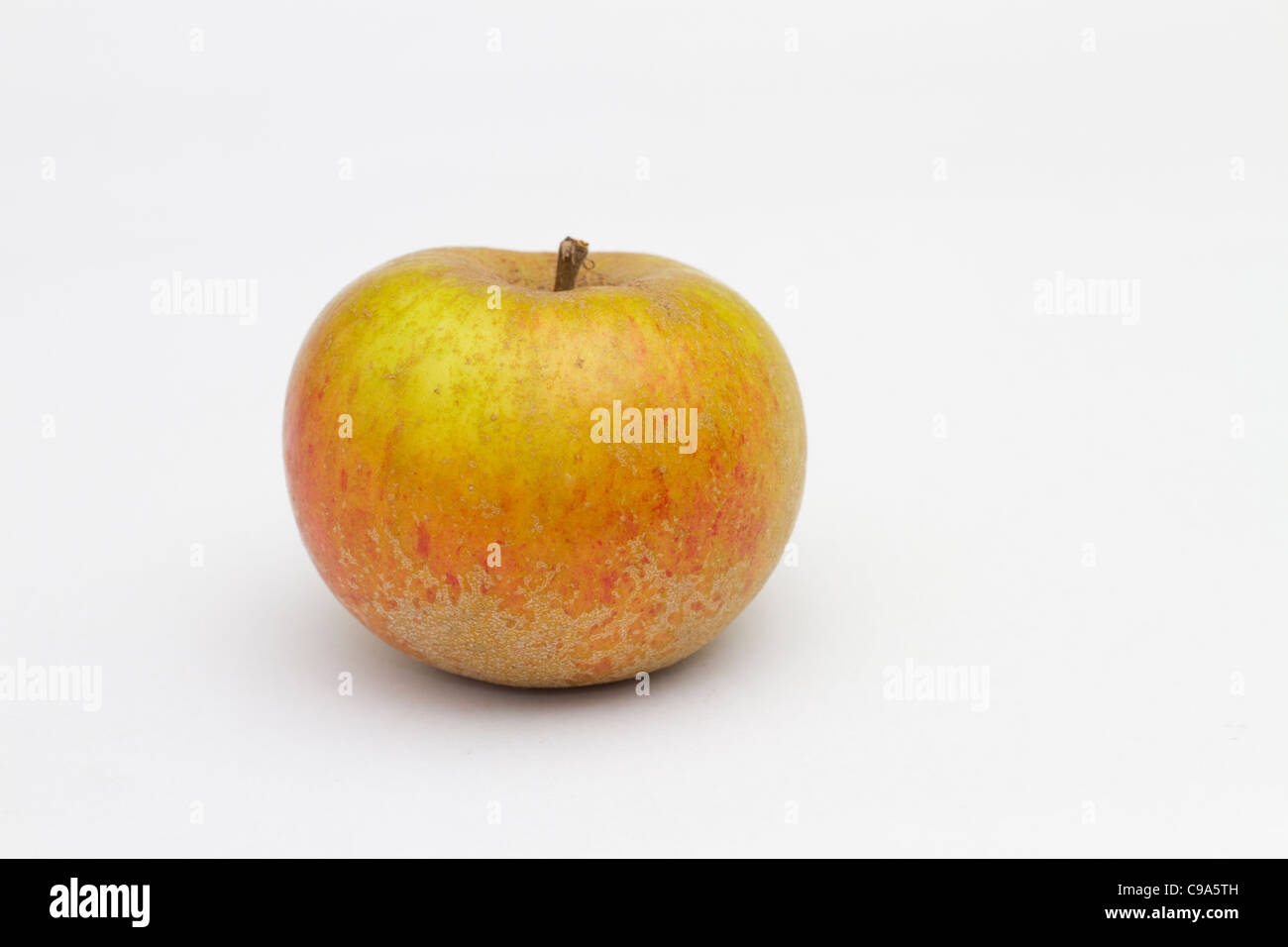 Ashmead Kernel apple from English orchards Stock Photo - Alamy