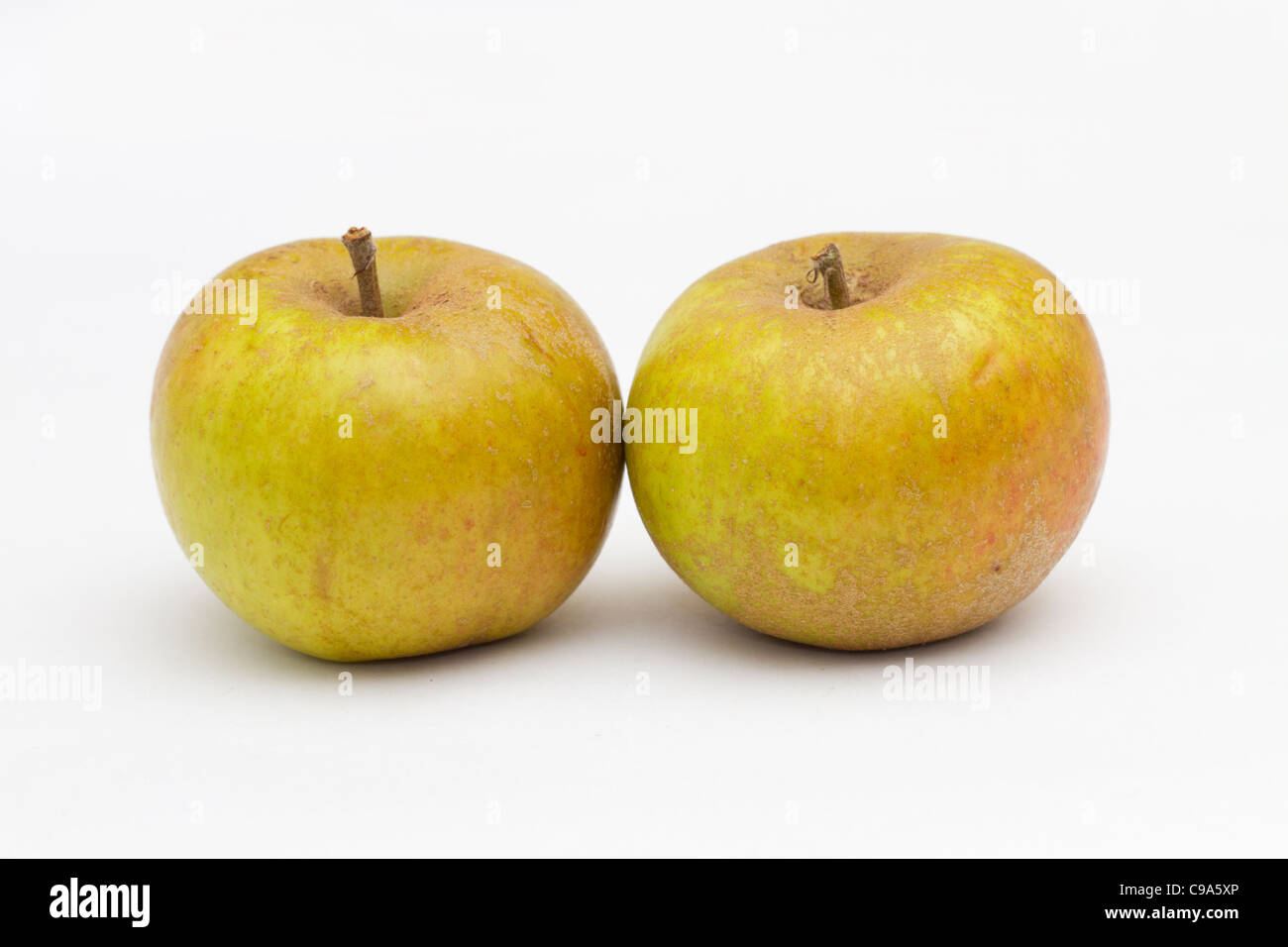Ashmead Kernel apples from English orchards Stock Photo - Alamy