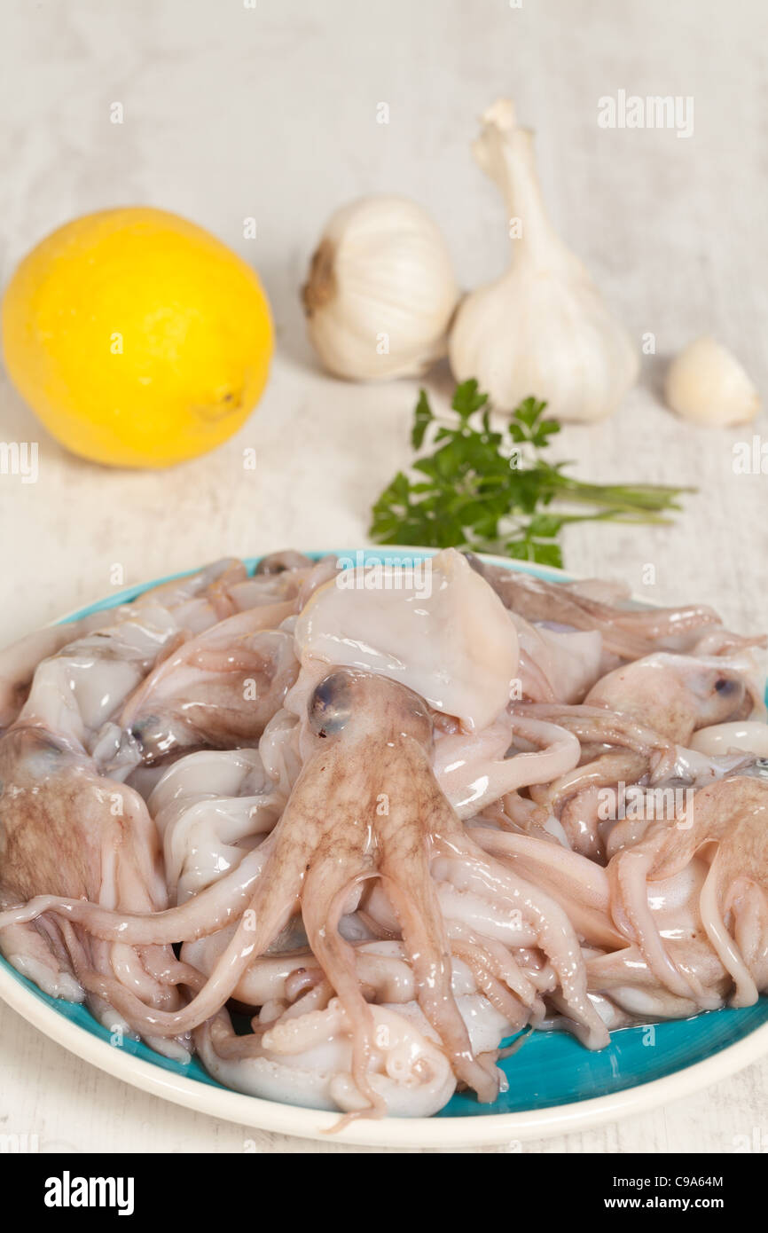 Fresh raw octopus ready to be cooked Stock Photo - Alamy