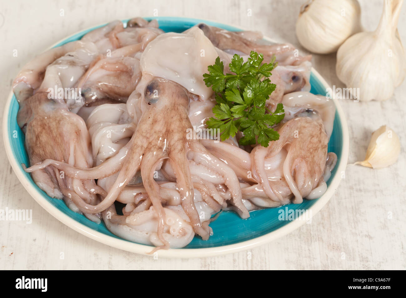 Fresh raw octopus ready to be cooked Stock Photo - Alamy