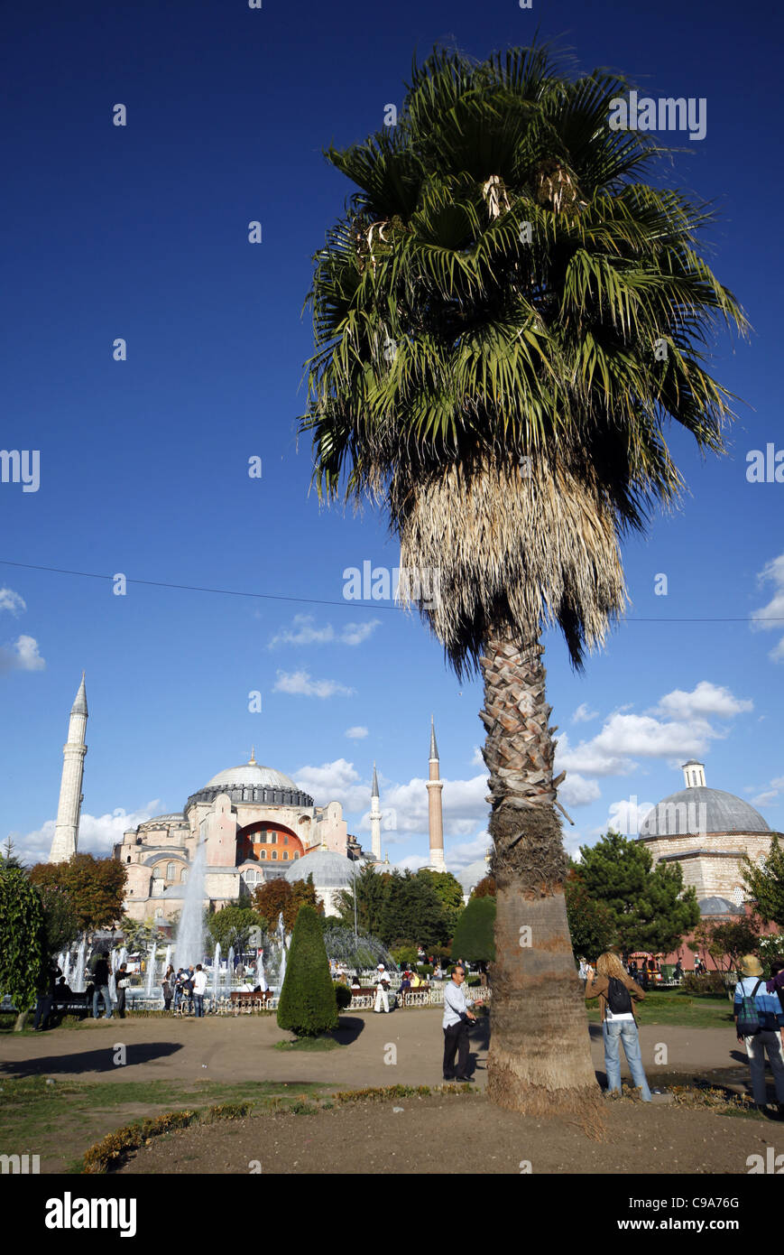 HAGIA SOPHIA MOSQUE & PALM TREE SULTANAHMET ISTANBUL TURKEY 03 October ...