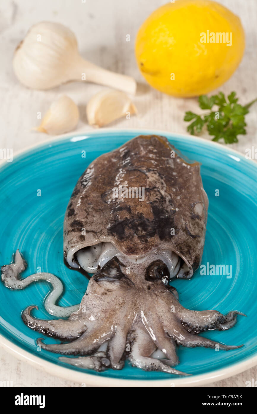 Fresh raw Cuttlefish ready to be cooked Stock Photo - Alamy