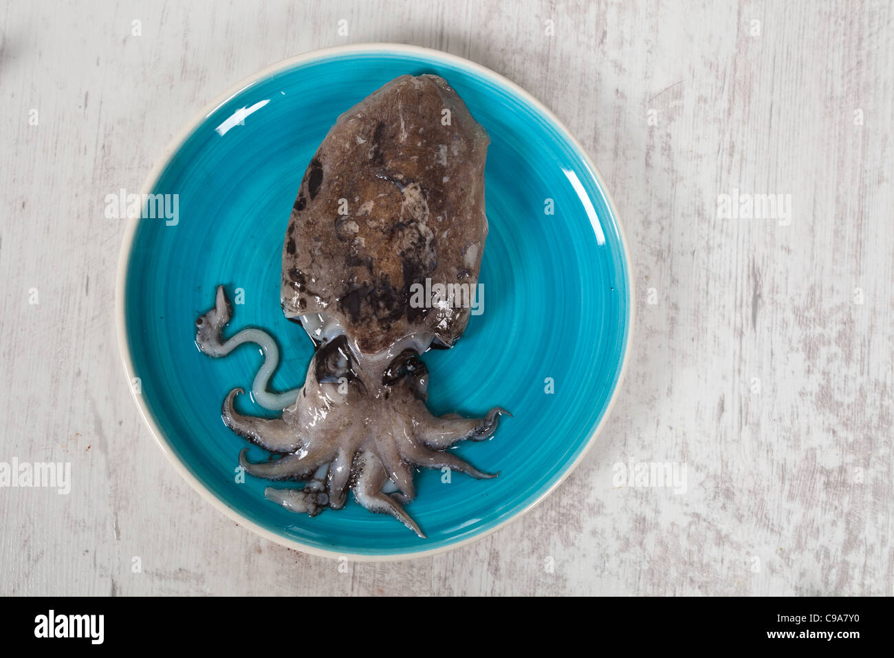 Fresh raw Cuttlefish ready to be cooked Stock Photo - Alamy