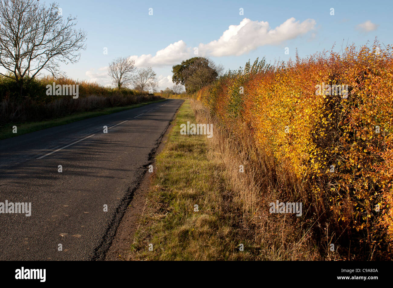 Empty road in autumn, Warwickshire, England, UK Stock Photo - Alamy