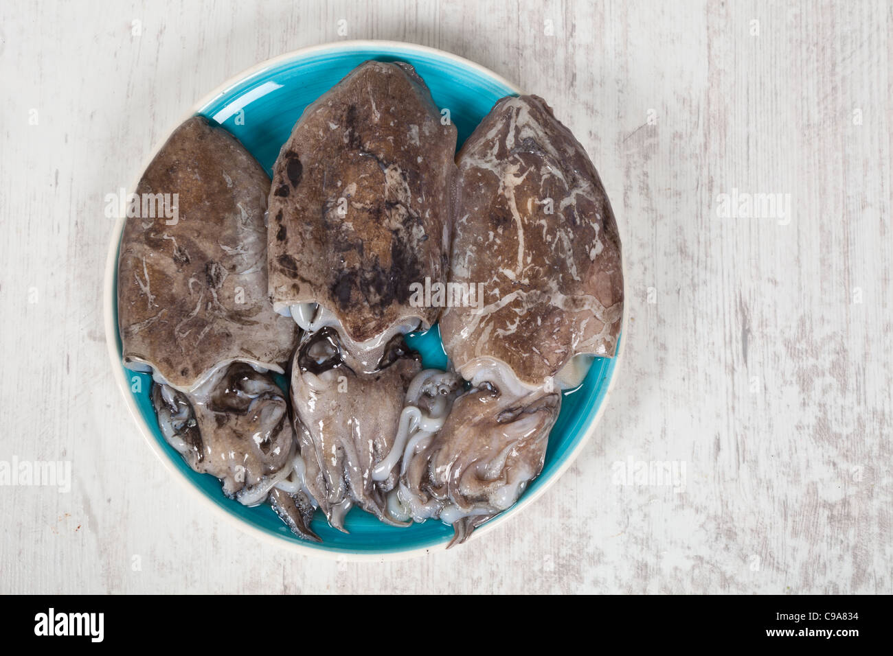 Fresh raw cuttlefish ready hi-res stock photography and images - Alamy