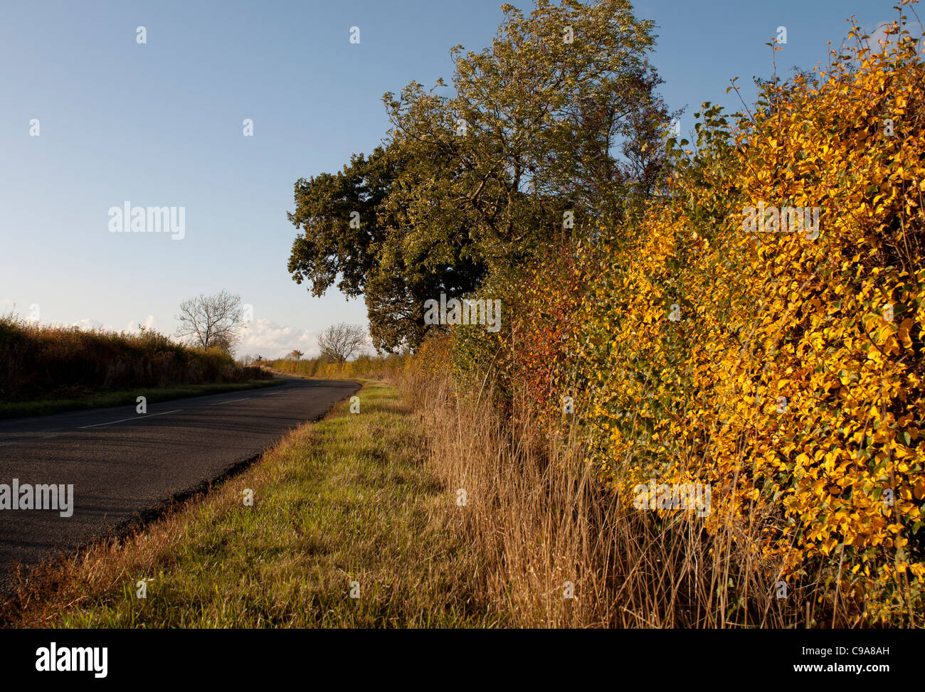 Empty road in autumn, Warwickshire, England, UK Stock Photo - Alamy