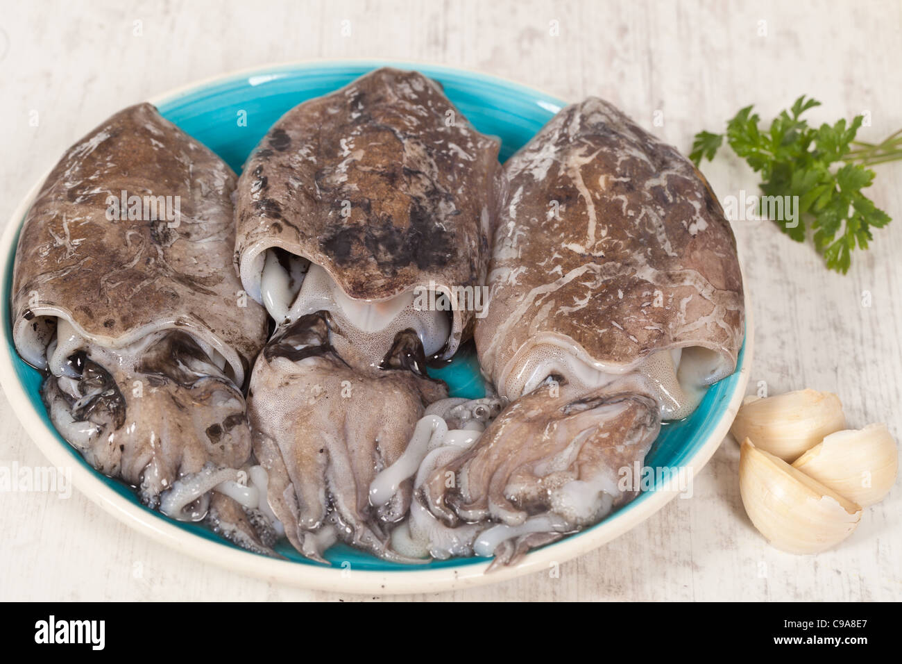 Fresh raw Cuttlefish ready to be cooked Stock Photo - Alamy