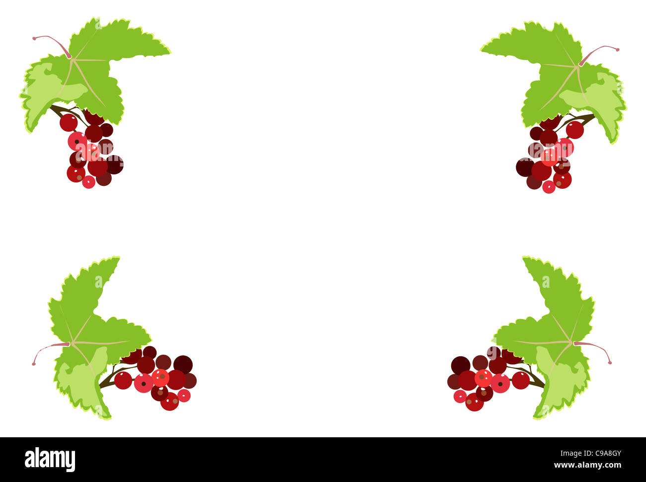 bunch of red currant frame isolated on white Stock Photo - Alamy