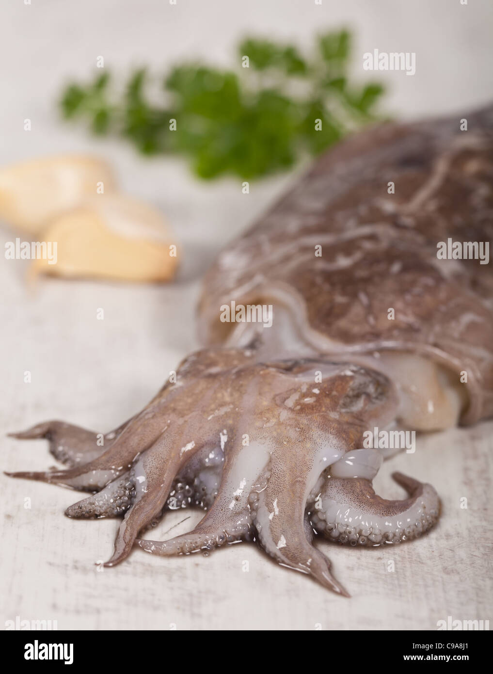 Raw cuttlefish hi-res stock photography and images - Alamy