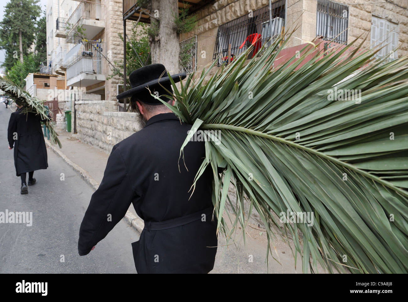 Palm leaves jerusalem hi-res stock photography and images - Alamy