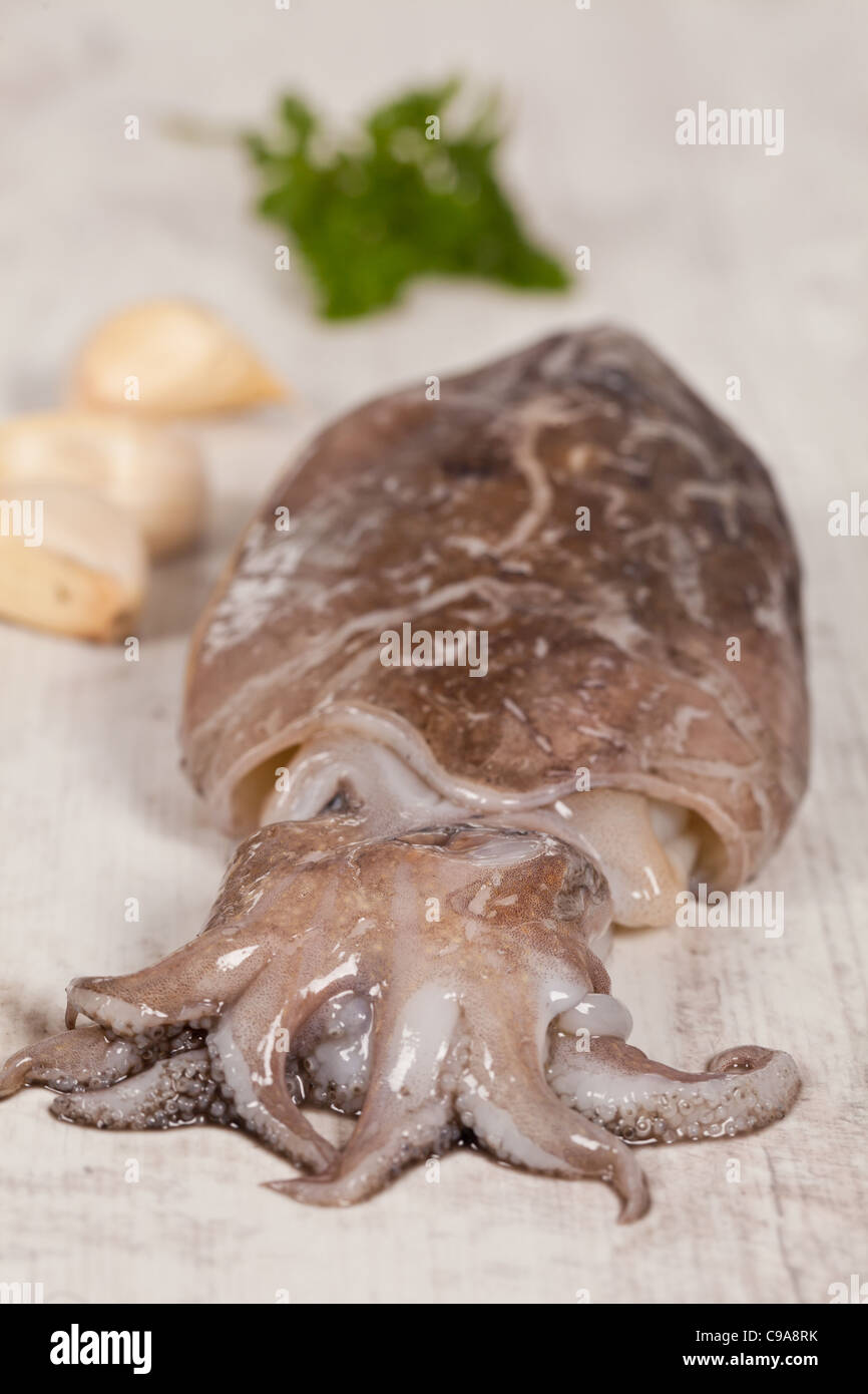 Fresh raw Cuttlefish ready to be cooked Stock Photo - Alamy