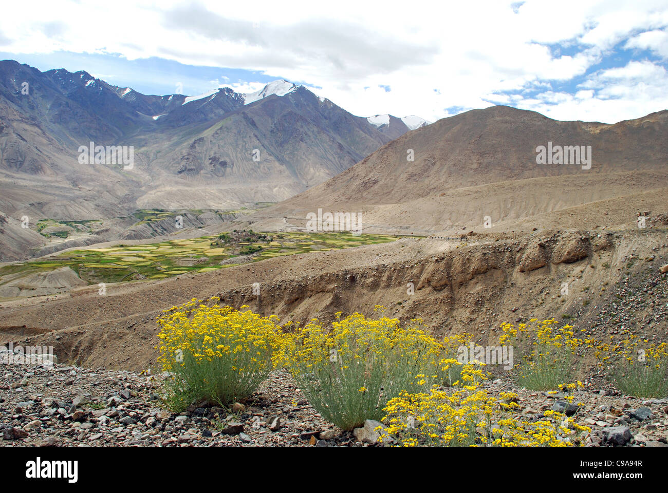 On way to Leh. Snow clad Himalayan Mountain Ranges in the background ...