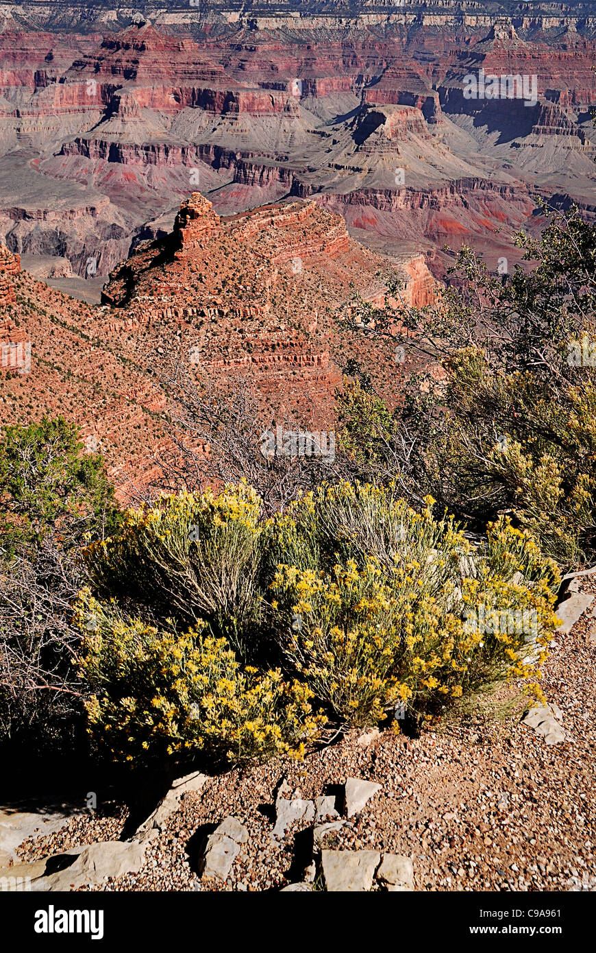 USA, Arizona, Grand Canyon, South Rim view from Yavapai Point Stock ...