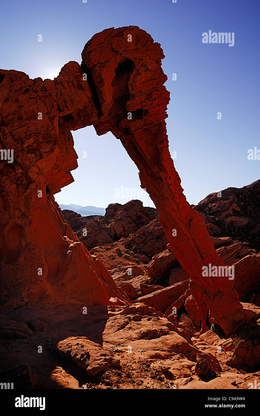 USA, Nevada, Valley of Fire State Park, Elephant shape rock formation ...