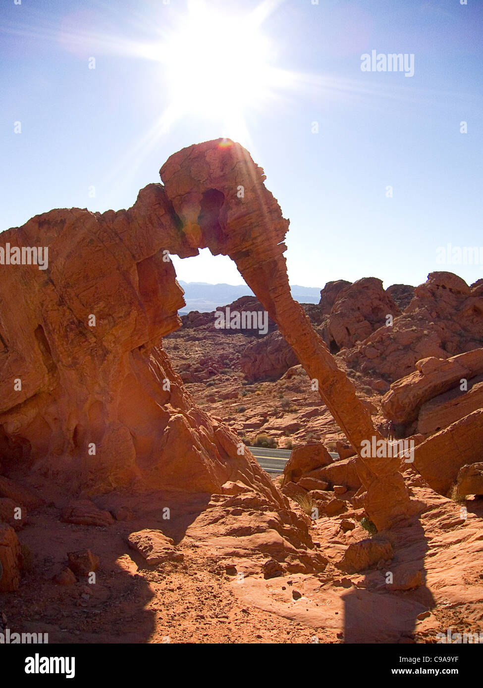 USA, Nevada, Valley of Fire State Park, Elephant shape rock formation ...