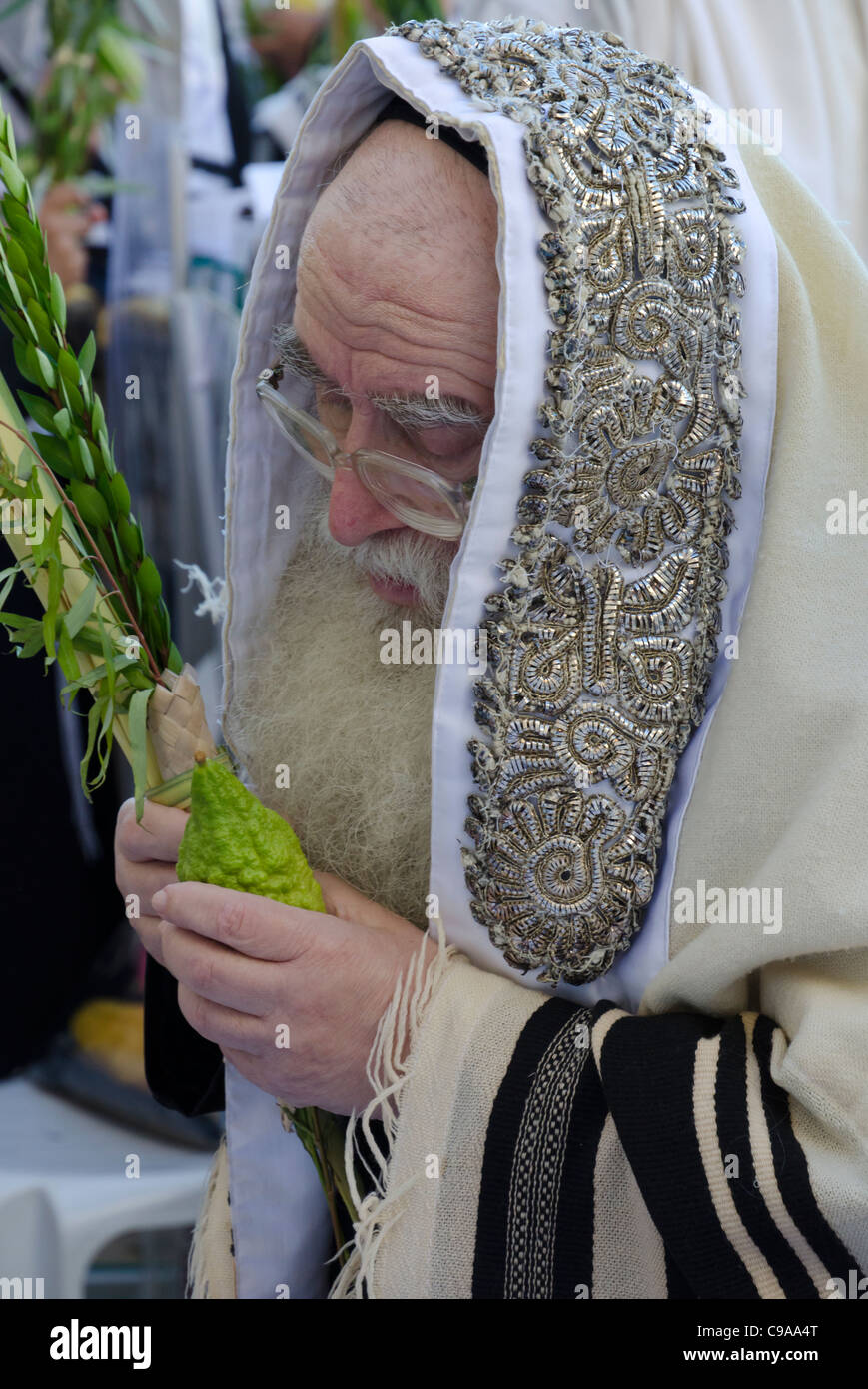 Sukkot celebrations with Lulav. Western Wall. Jerusalem Old City ...