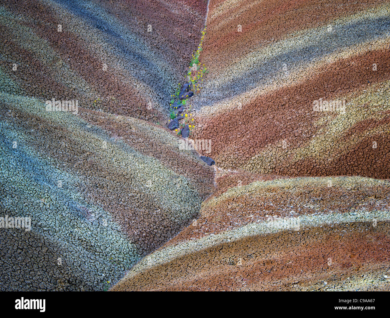 John day fossil beds hi-res stock photography and images - Alamy