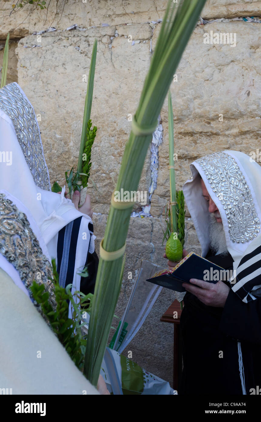 Sukkot celebrations with Lulav. Western Wall. Jerusalem Old City ...