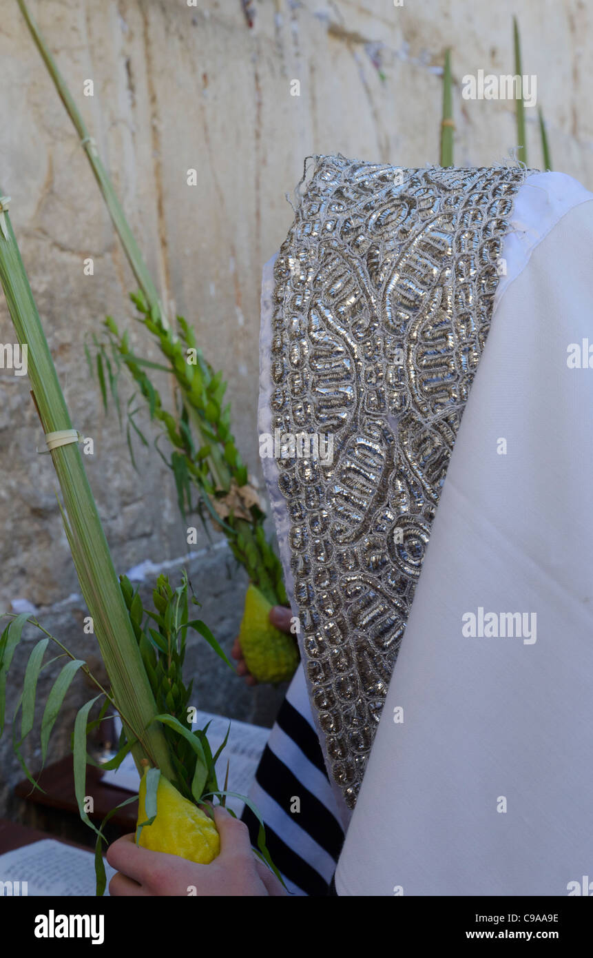 Sukkot lulav hi-res stock photography and images - Alamy