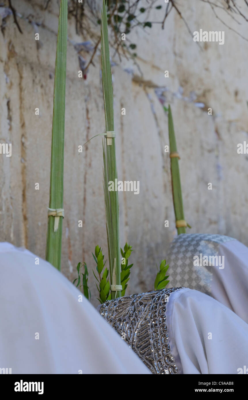 Sukkot lulav hi-res stock photography and images - Alamy