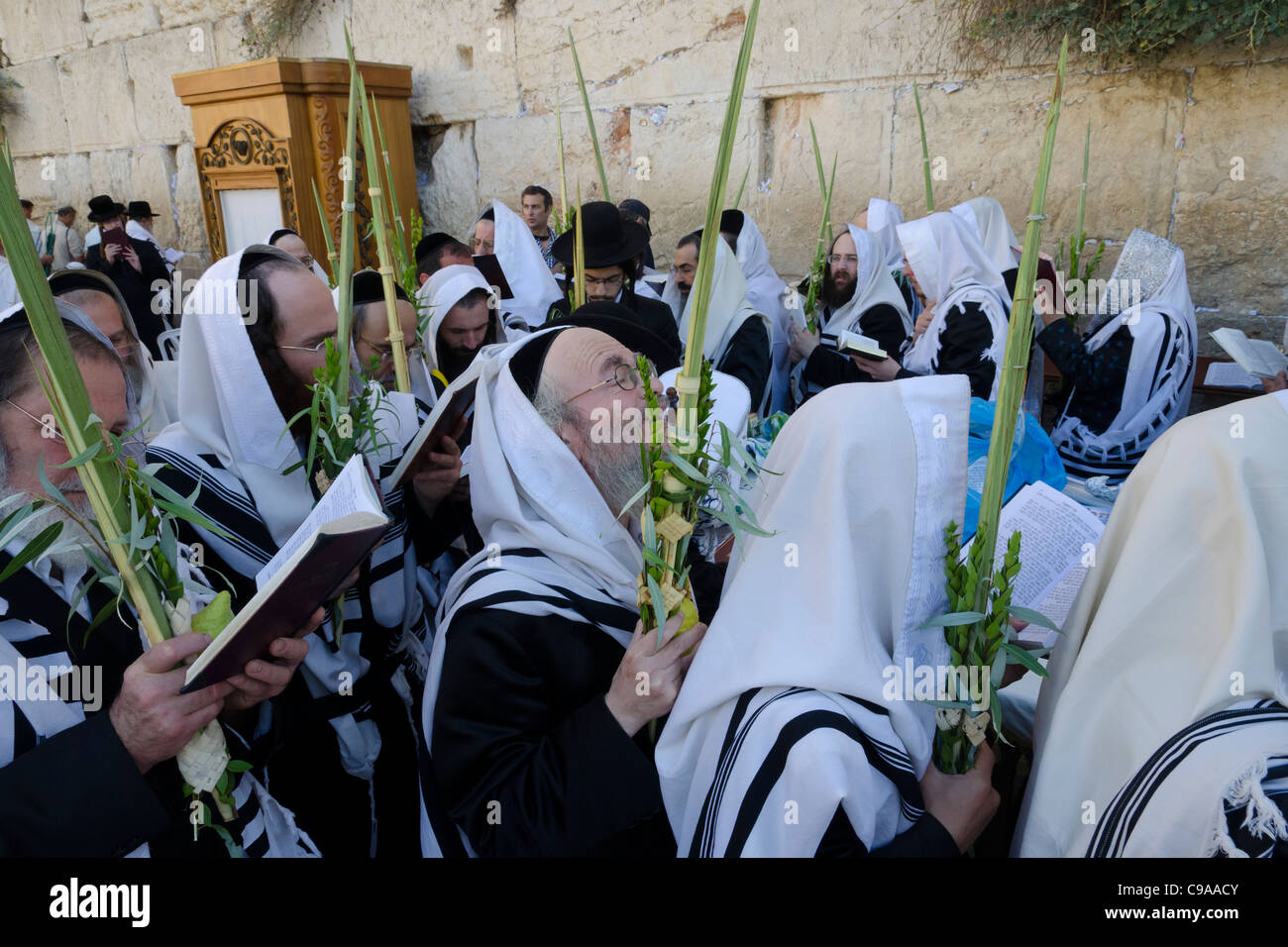Sukkot celebrations with Lulav. Western Wall. Jerusalem Old City ...
