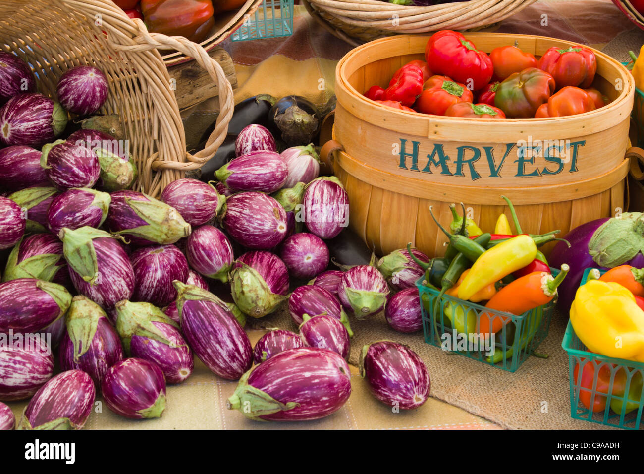 Barbara pepper hi-res stock photography and images - Alamy