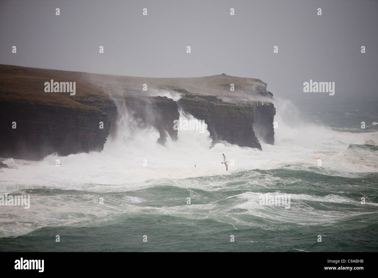 Waves battering the Orkney mainland coast, with waves crashing over the ...
