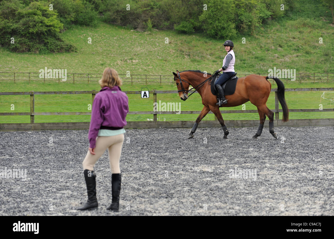 A Woman having a riding Lesson on a Horse in a Riding School Stock ...