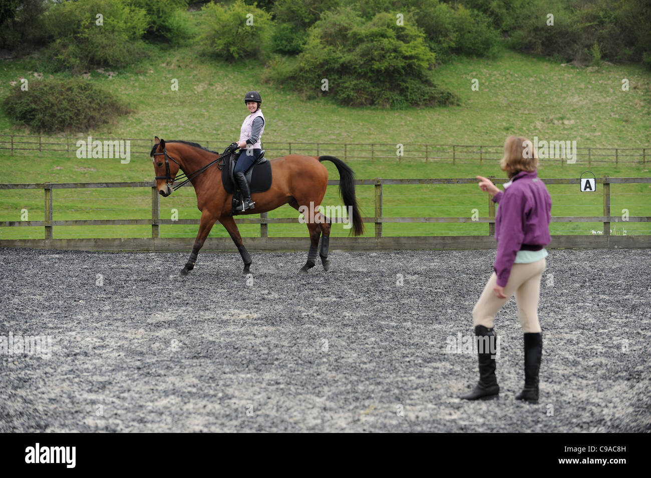 A Woman having a riding Lesson on a Horse in a Riding School Stock ...