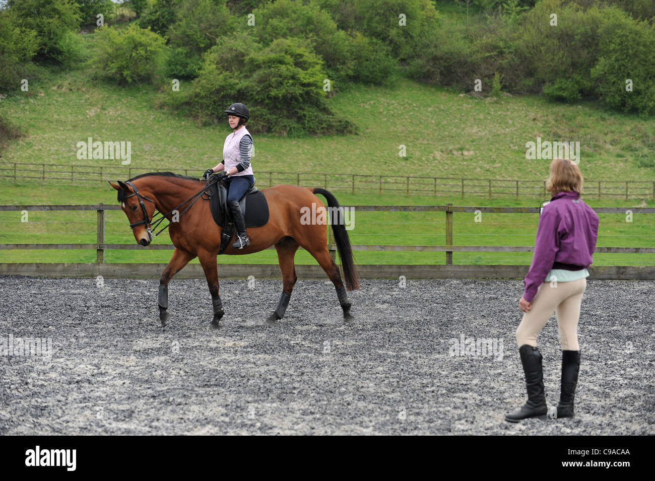 A Woman having a riding Lesson on a Horse in a Riding School Stock ...