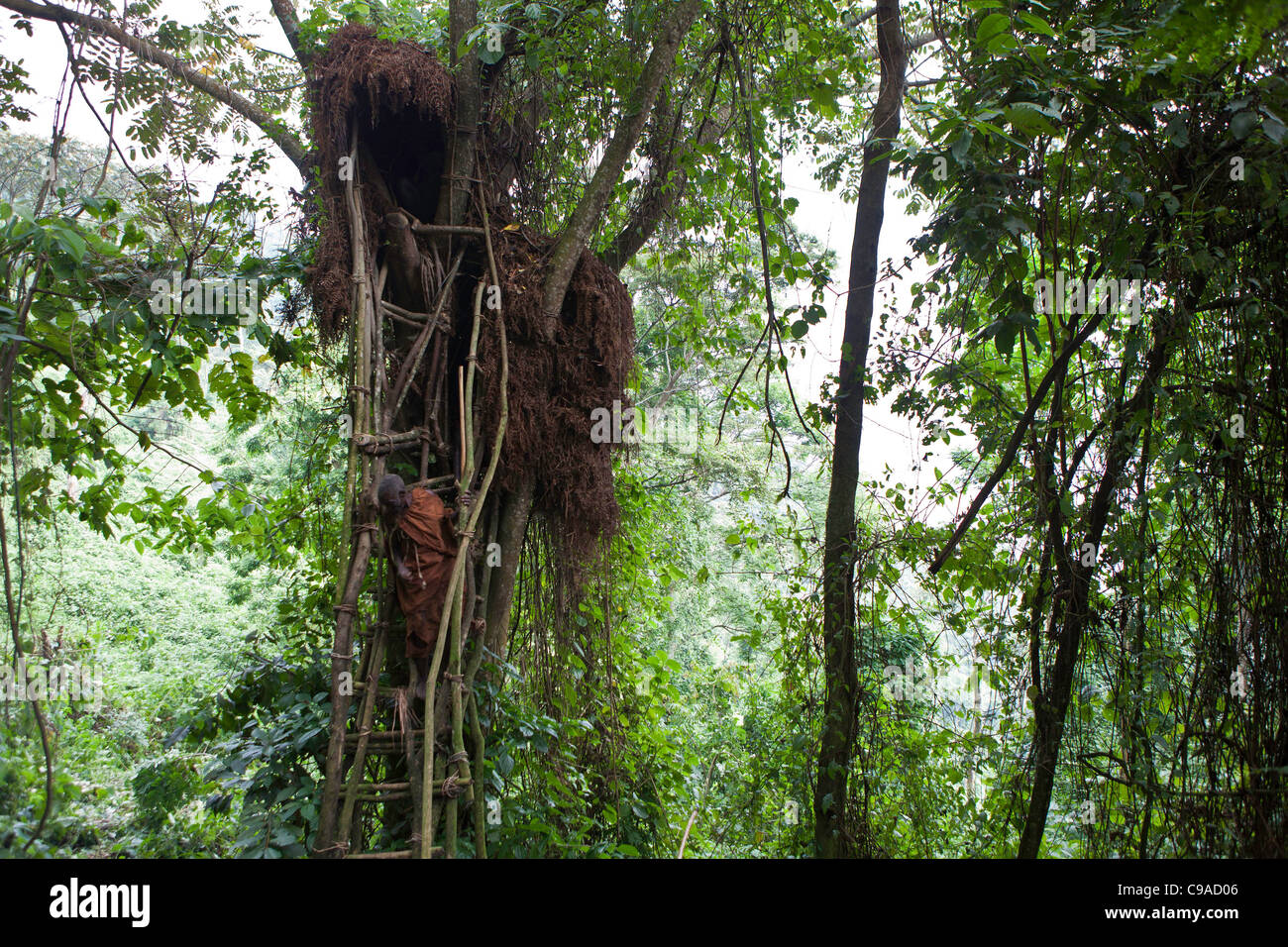 People of Mukuno village, traditional Batwa indigenous tribe from the ...