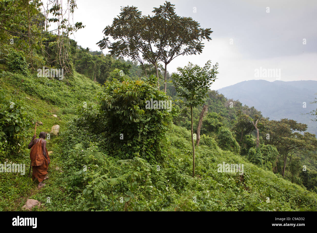 People of Mukuno village, traditional Batwa indigenous tribe from the ...