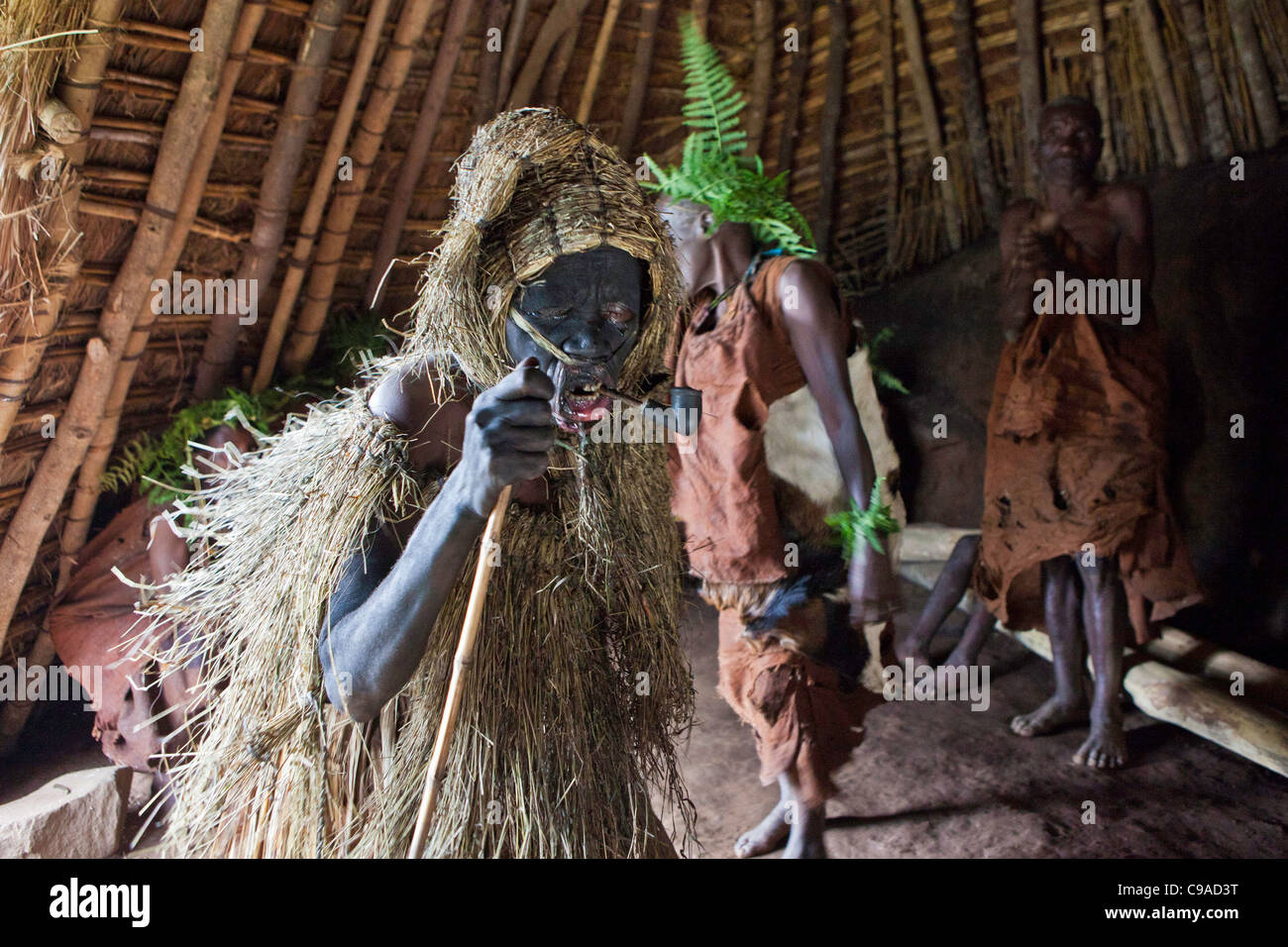 Dance and music as a story in Mukuno village, traditional Batwa ...