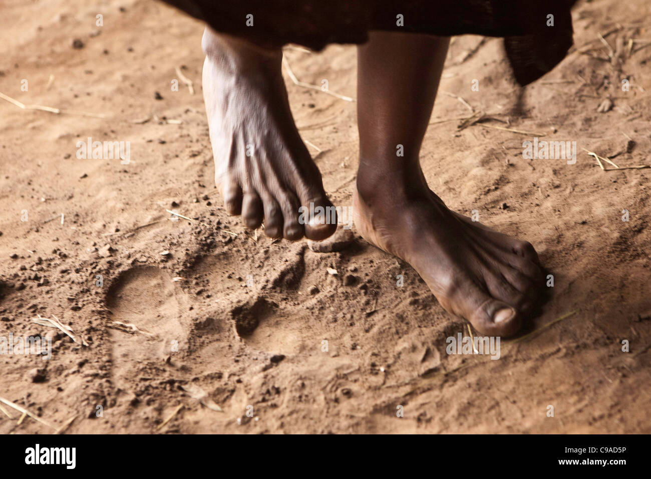 Dance and music as a story in Mukuno village, traditional Batwa ...