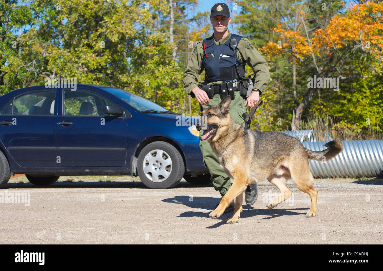 Uniformed man with dog hi-res stock photography and images - Alamy