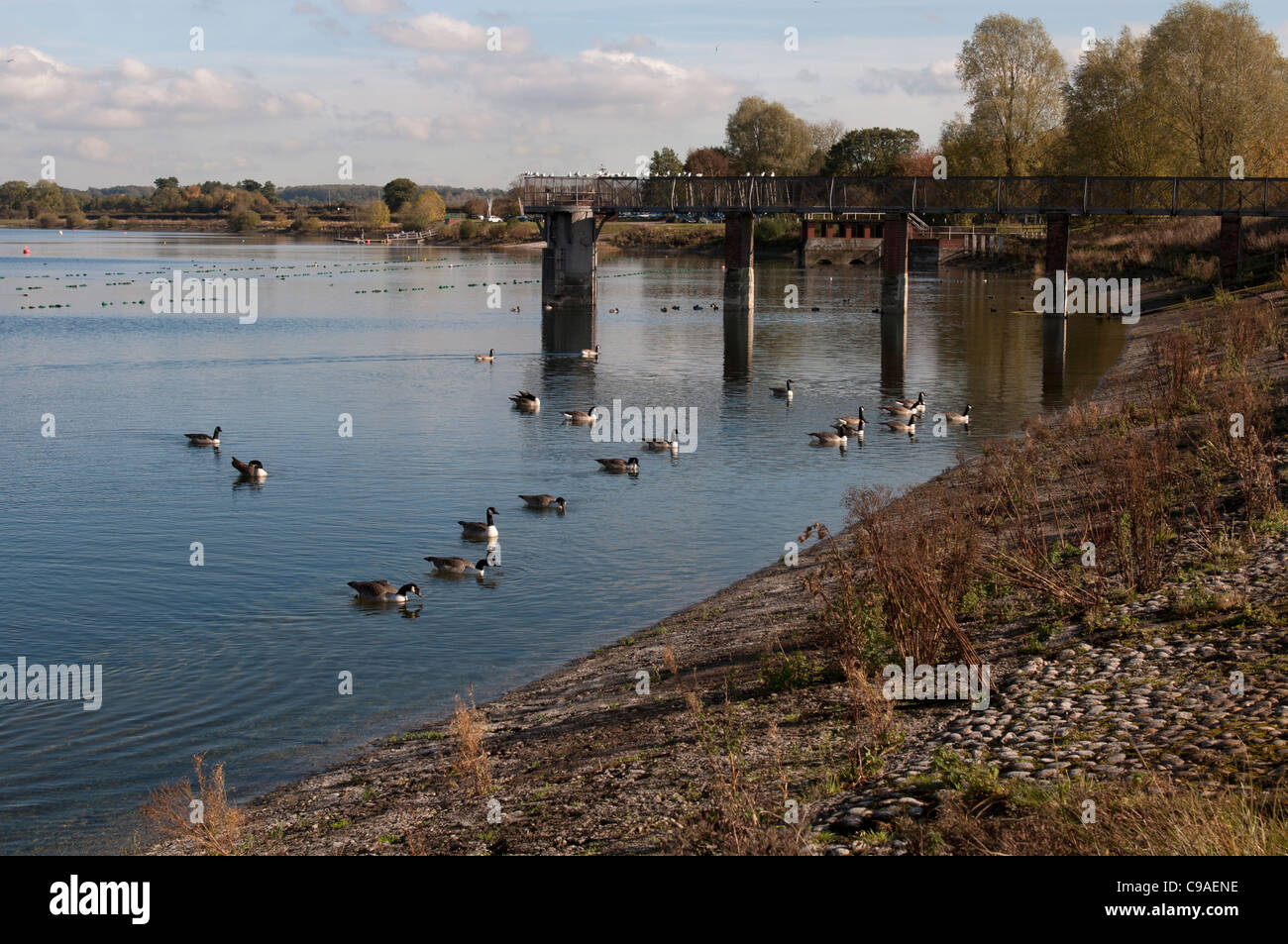 Shustoke Reservoir, Warwickshire, England, UK Stock Photo - Alamy
