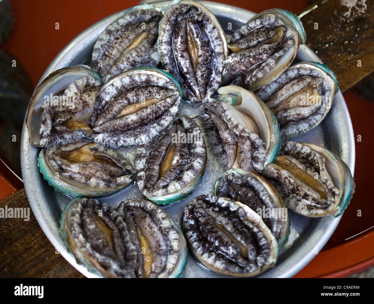 Abalone on sale at Jagalchi Fish Market Busan South Korea - An example ...