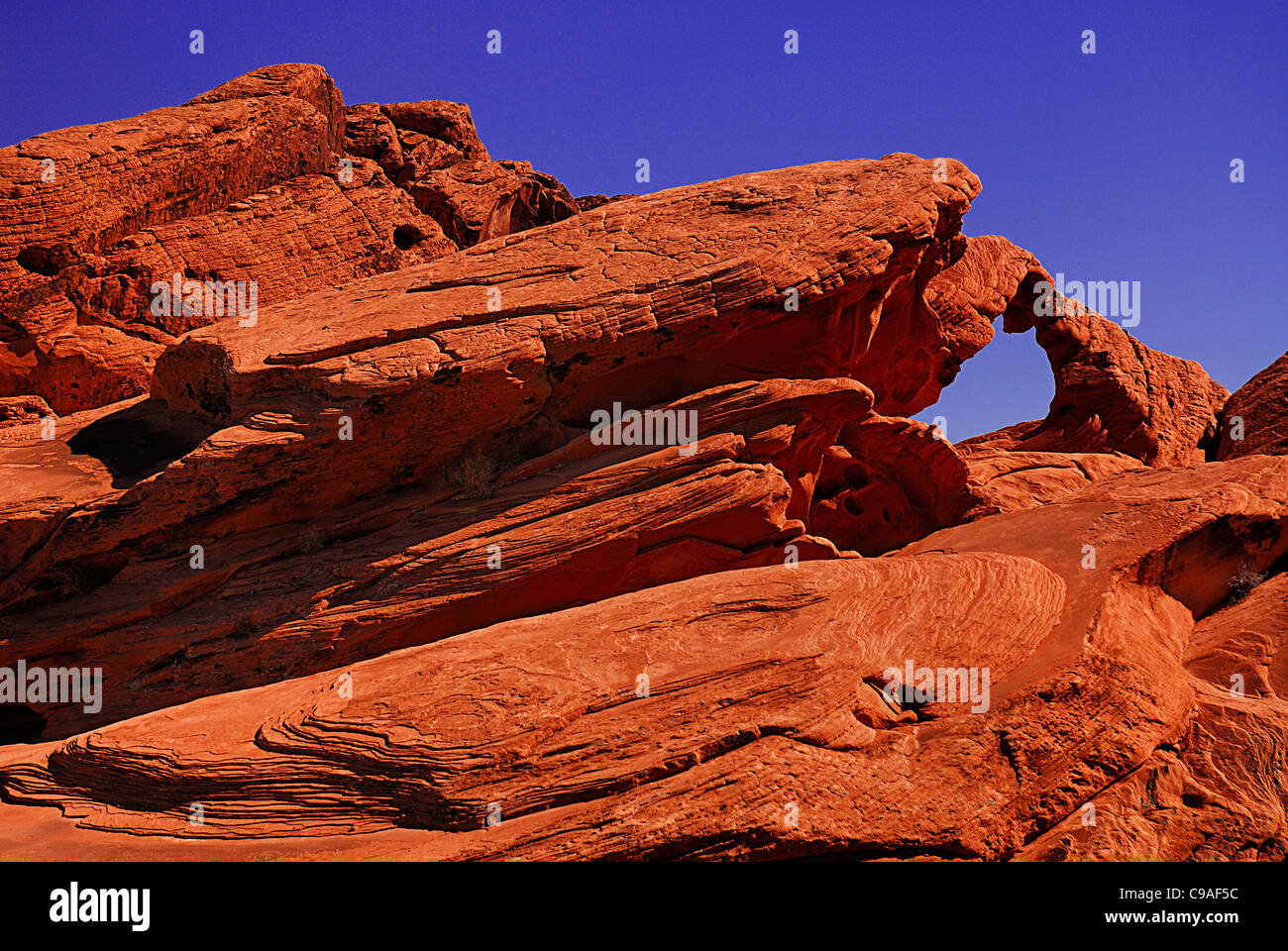 USA, Nevada, Valley of Fire State Park, eroded sandstone rock ...