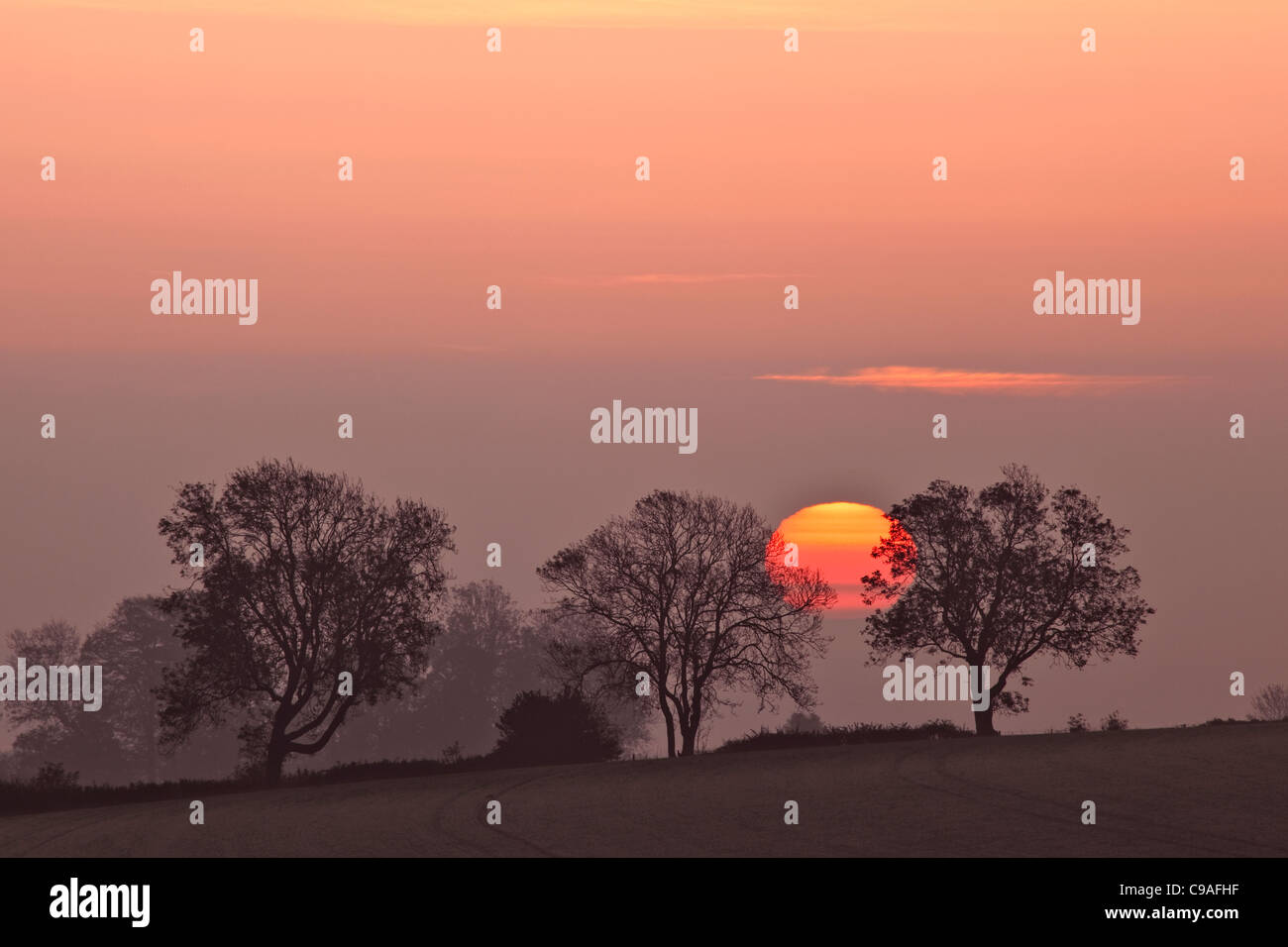 Dawn rising sun hi-res stock photography and images - Alamy