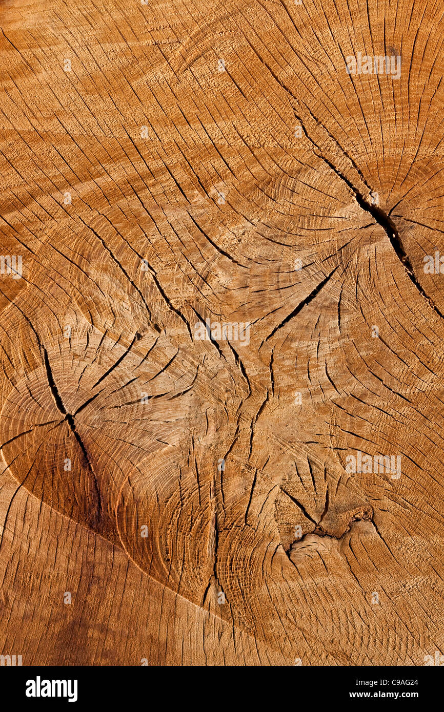 Oak Wood Grain High Resolution Stock Photography and Images - Alamy