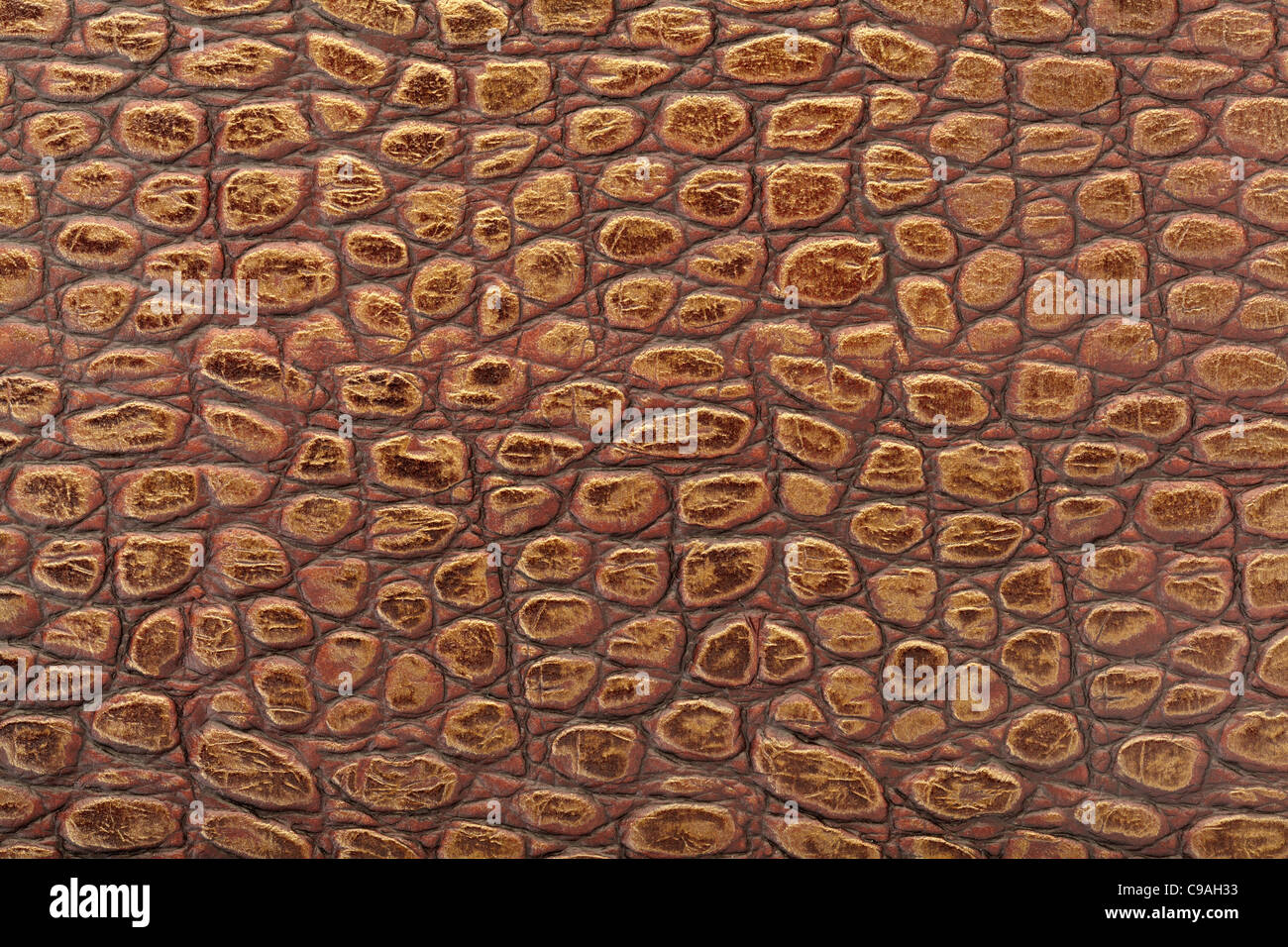 Alligator skin texture hi-res stock photography and images - Alamy