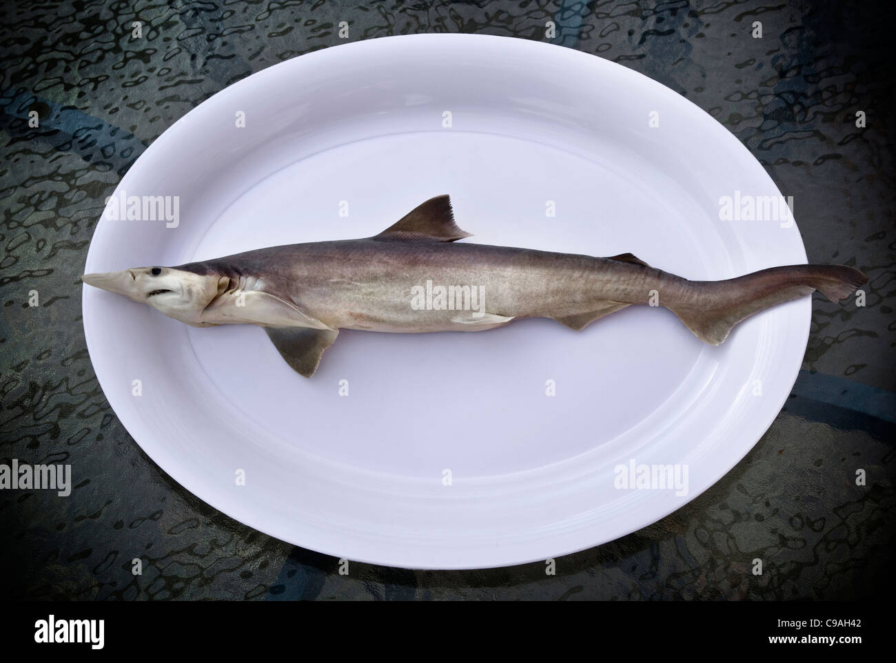 Raw Baby Shark - an asian food delicacy - An example of the strange or ...