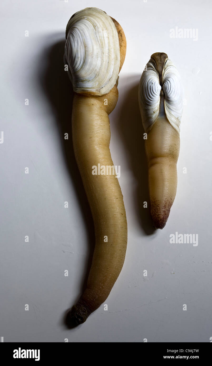 Phallic food hi-res stock photography and images - Alamy