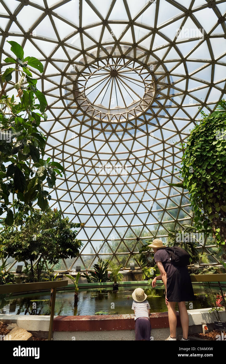 Visitors in the tropical dome of the Brisbane Botanic Gardens. Brisbane ...
