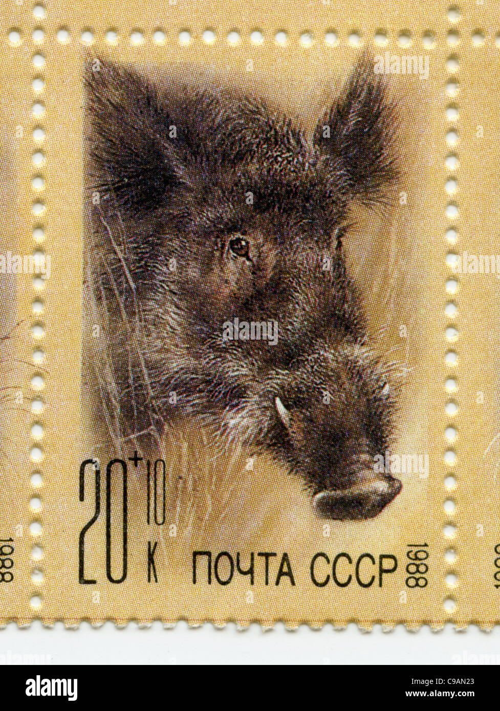USSR postage stamp Stock Photo - Alamy