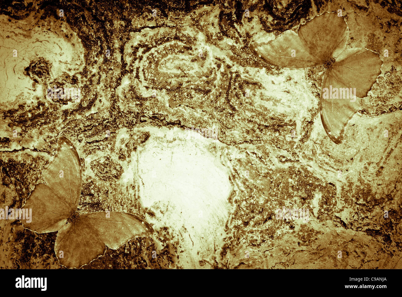 butterfly wall texture background Stock Photo - Alamy