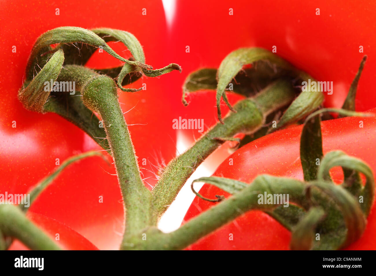 Tomato red nature food background Stock Photo - Alamy